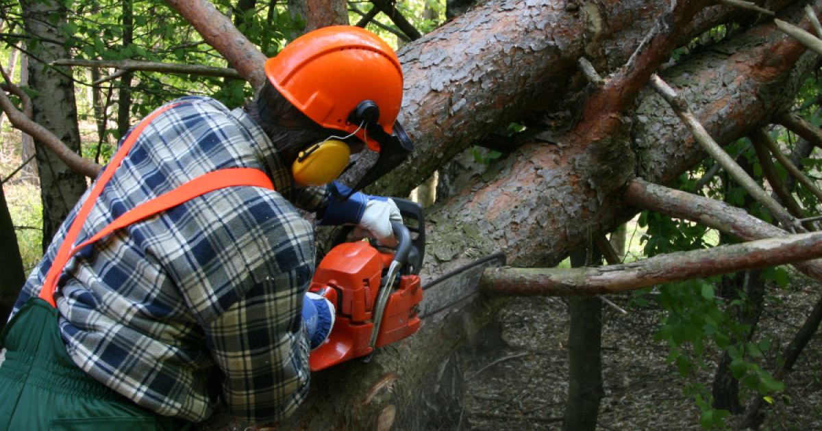 Charlton Baker | Claim flat rate expenses for work clothing and tools