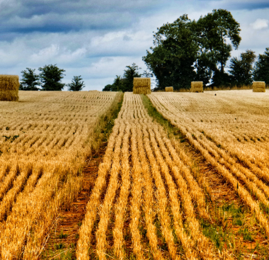 Charlton Baker | Overview of IHT agricultural relief