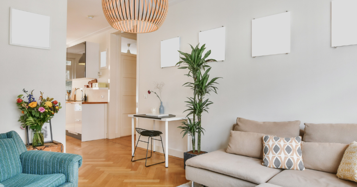 Charlton Baker | Sharing your home with tenants